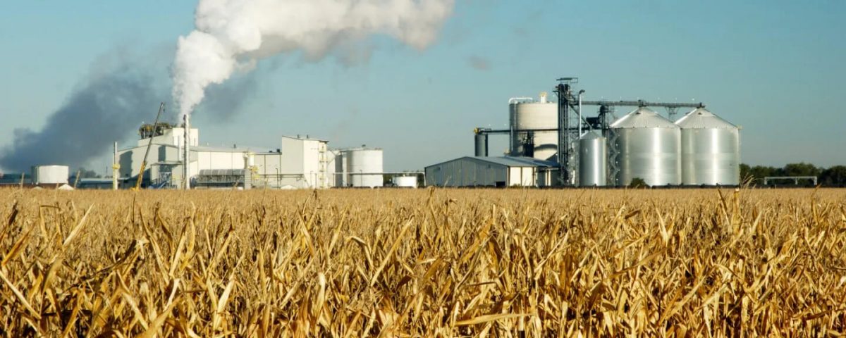 India Glycols to invest Rs 180 croreon Grain-based bioethanol plants ...